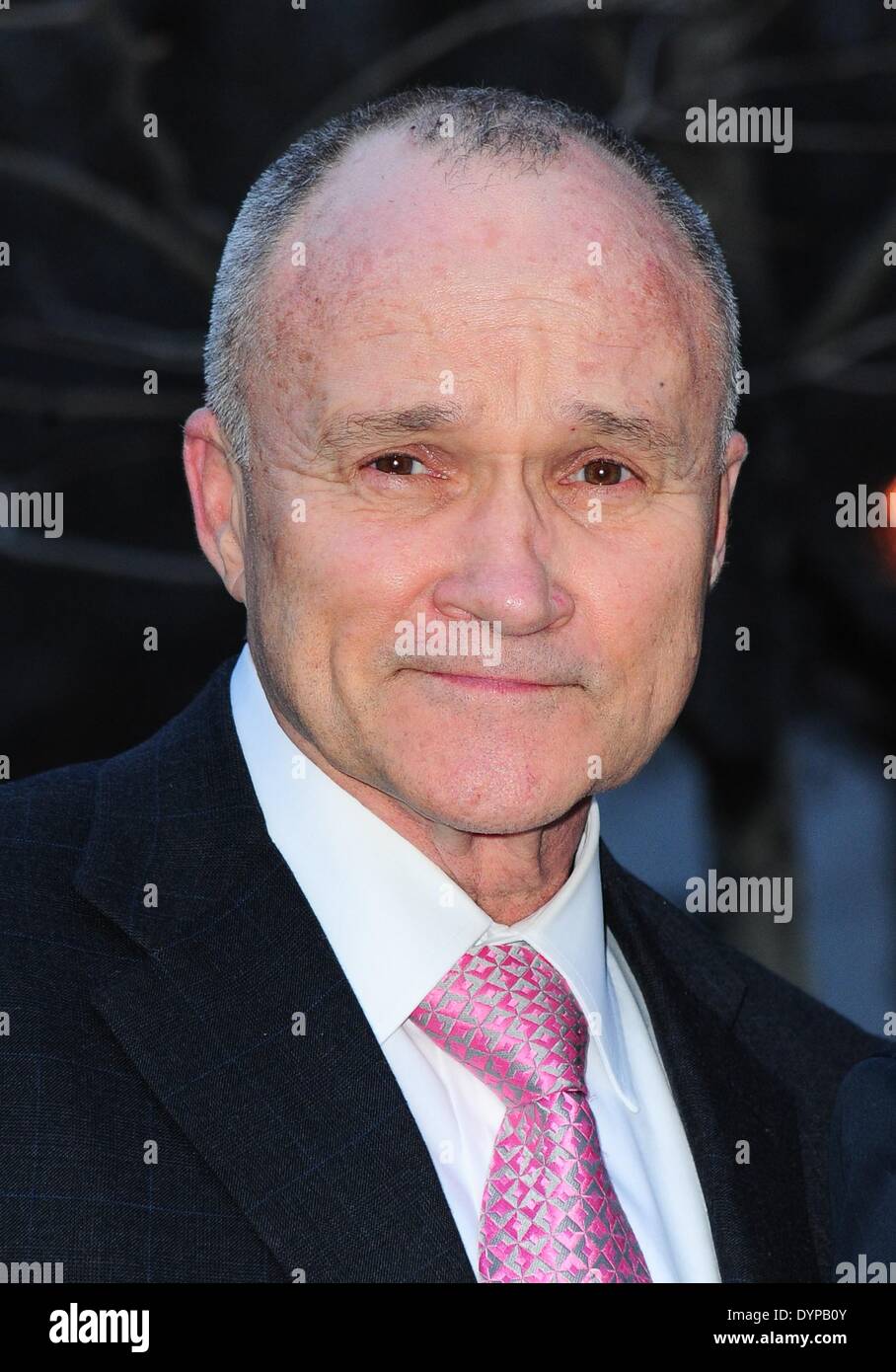 New York, NY, USA. 23rd Apr, 2014. Raymond Kelly at arrivals for VANITY ...