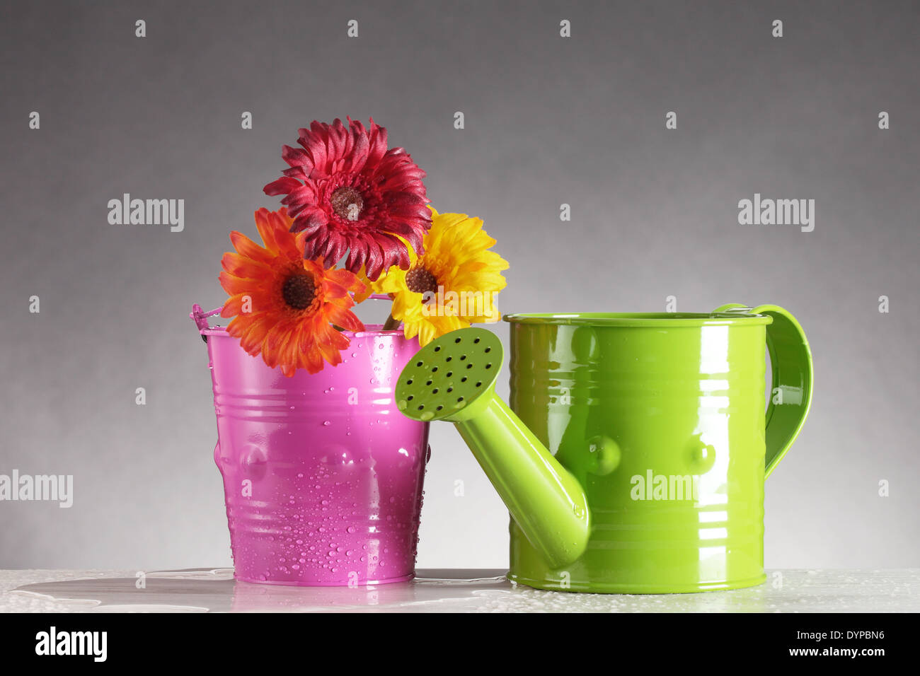green watering can and flowers of colors Stock Photo - Alamy