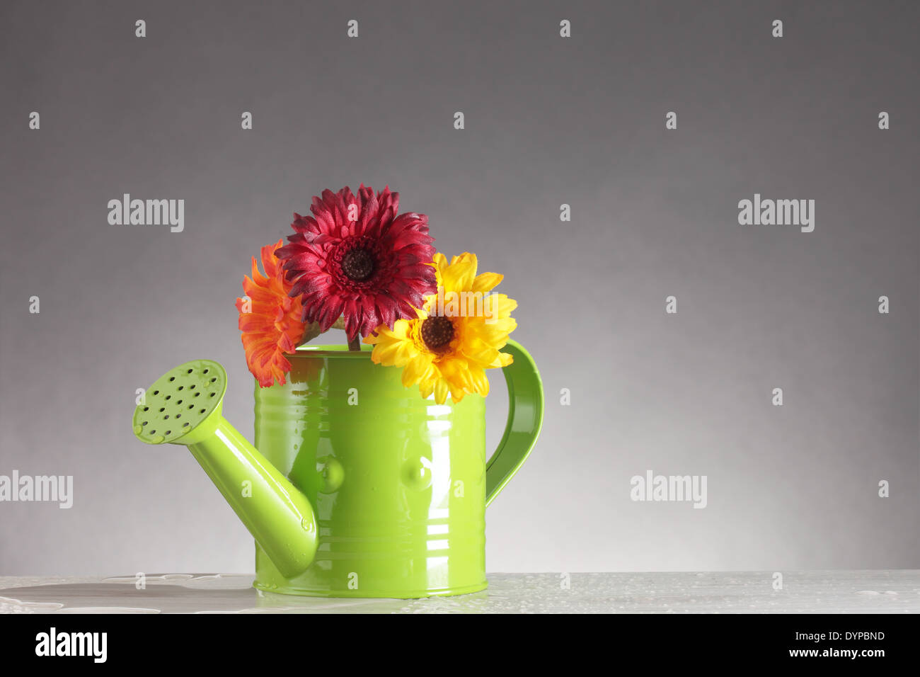 green watering can and flowers of colors Stock Photo - Alamy