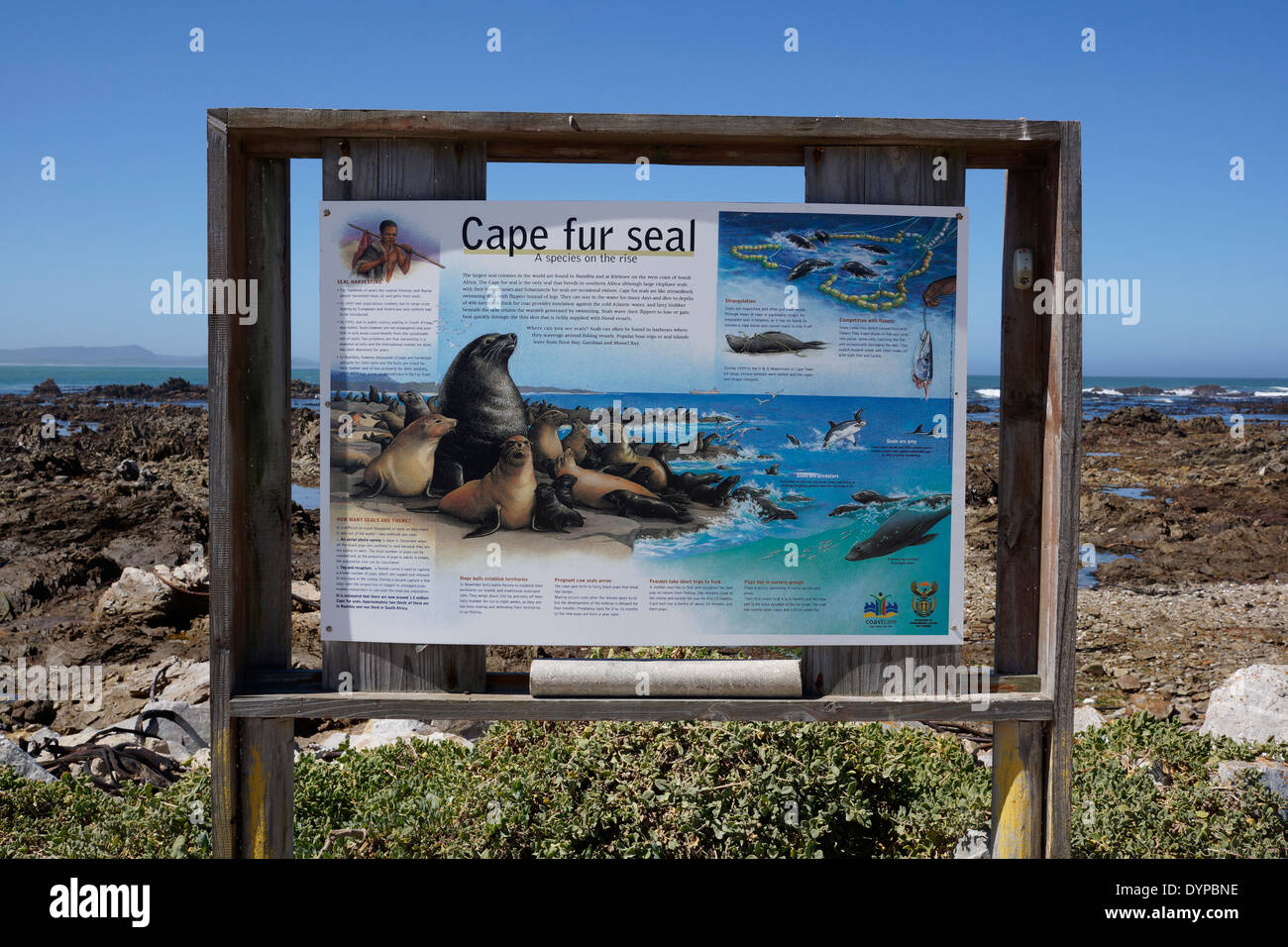 Gansbaai harbour hi-res stock photography and images - Alamy