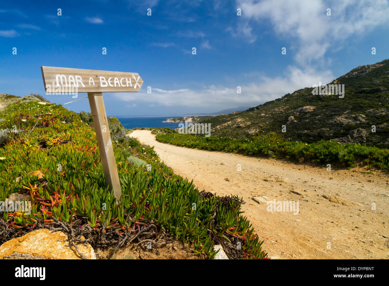 Wooden painted Signpost pointing to the beach at La Revellata near ...
