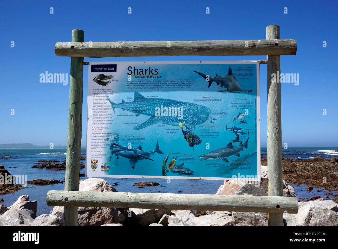 Information board at Kleinbaai harbour in Gansbaai on Sharks Stock ...