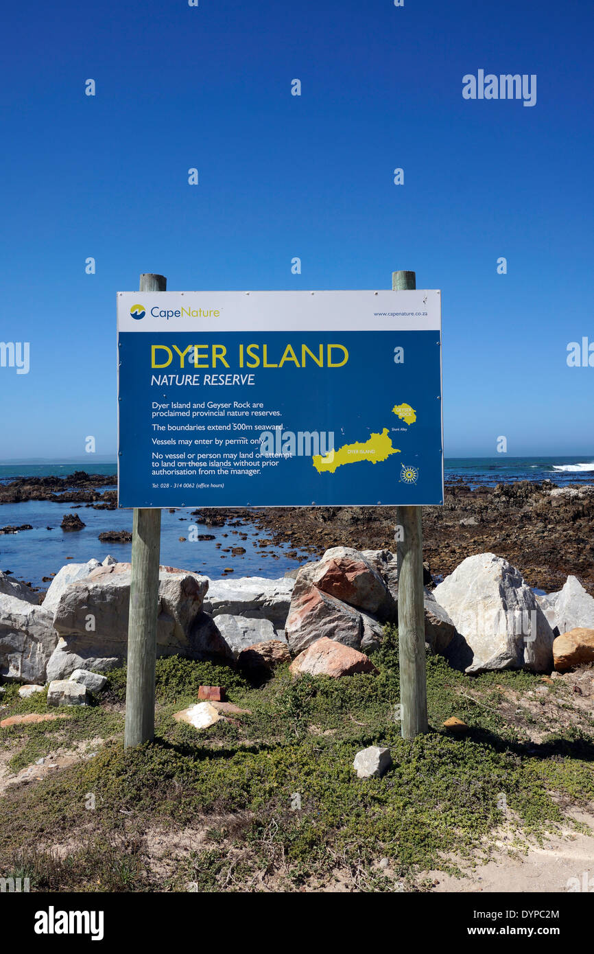 Dyer island south africa hi-res stock photography and images - Alamy