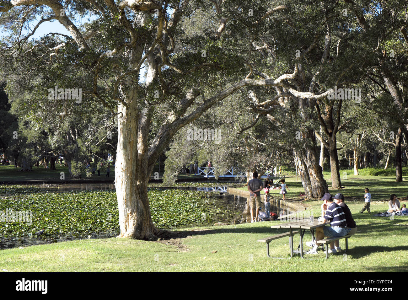 Centennial Parklands park is an urban park occupying 220 hectares in ...