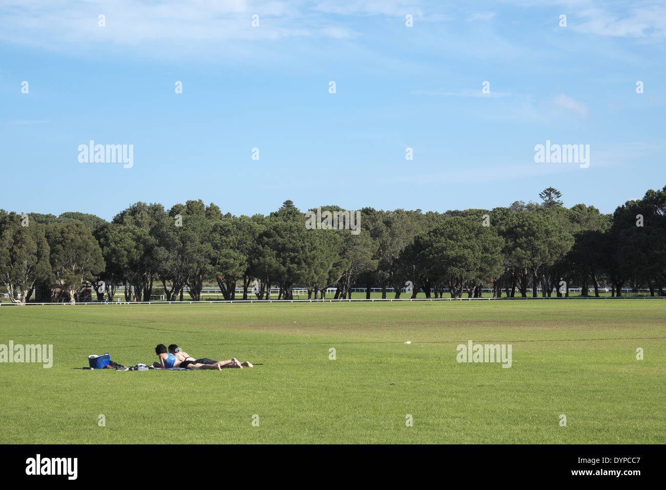 Centennial park sydney hi-res stock photography and images - Alamy
