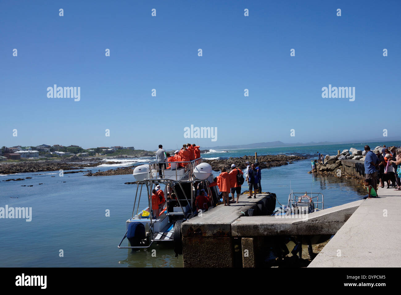 Tourists leaving Gansbaai from Kleinbaai Harbour for a trip to Geyser ...