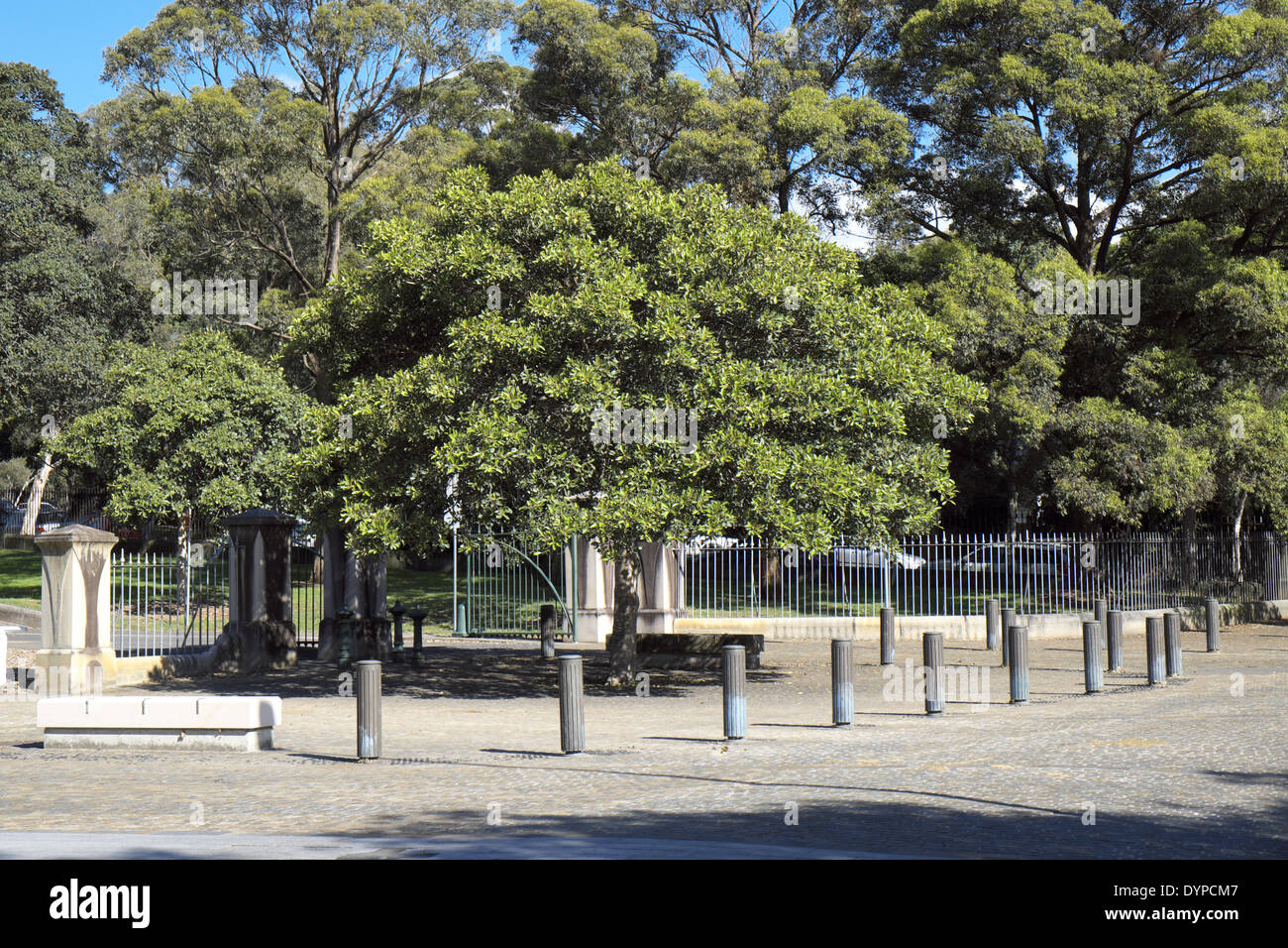 Centennial Parklands park is an urban park occupying 220 hectares in ...