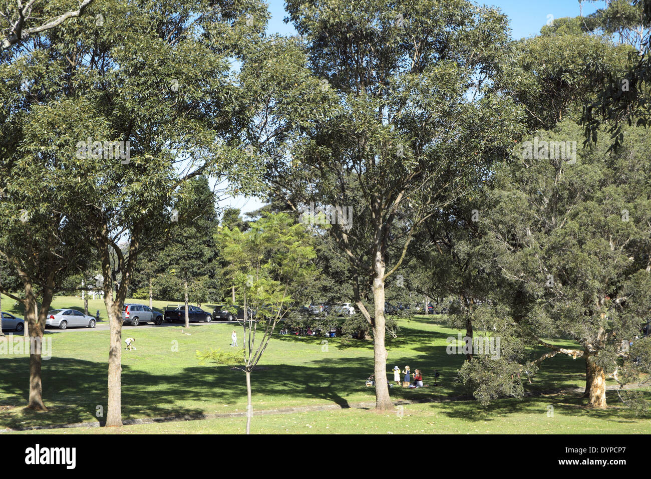Centennial Parklands park is an urban park occupying 220 hectares in ...