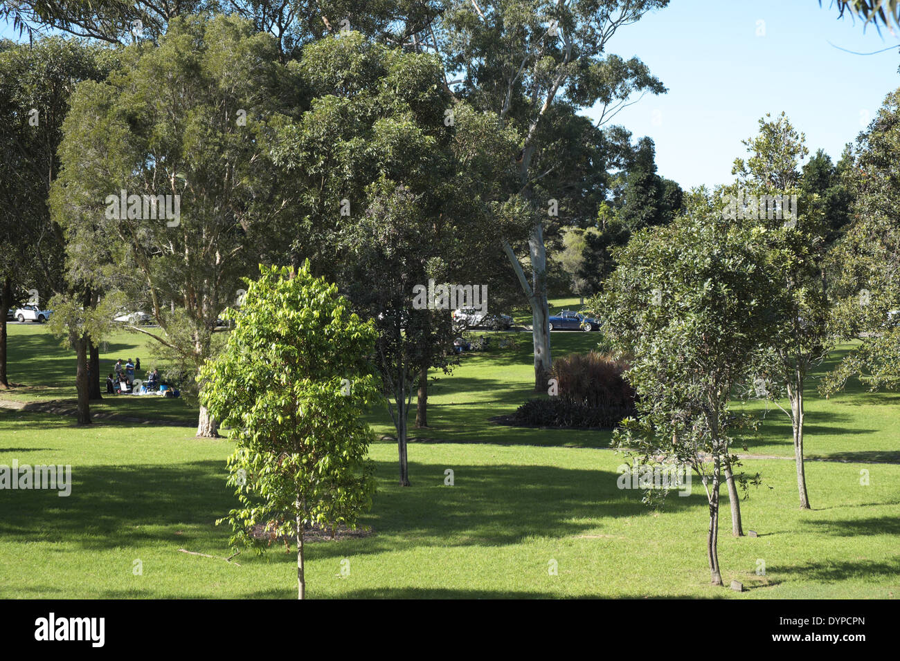 Centennial Parklands park is an urban park occupying 220 hectares in ...