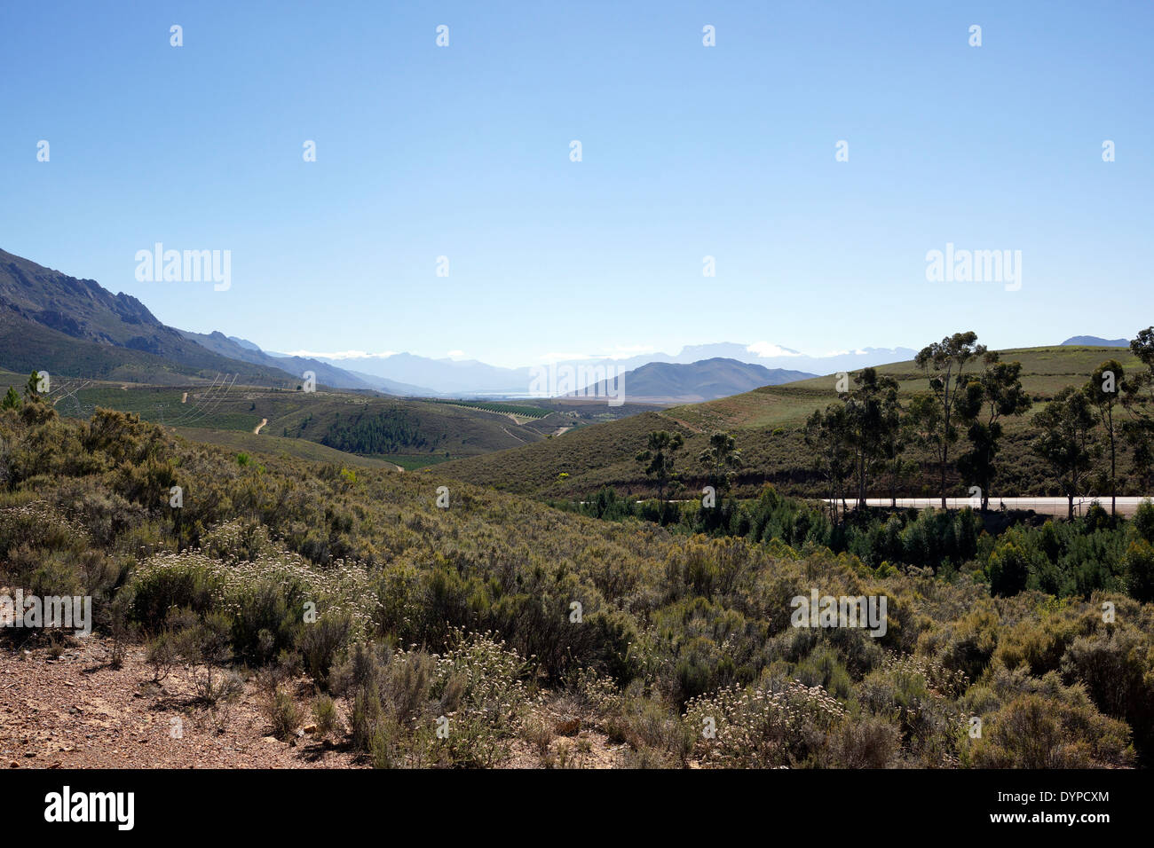 The Rooihoogte Pass is located on the R43 about midway between ...