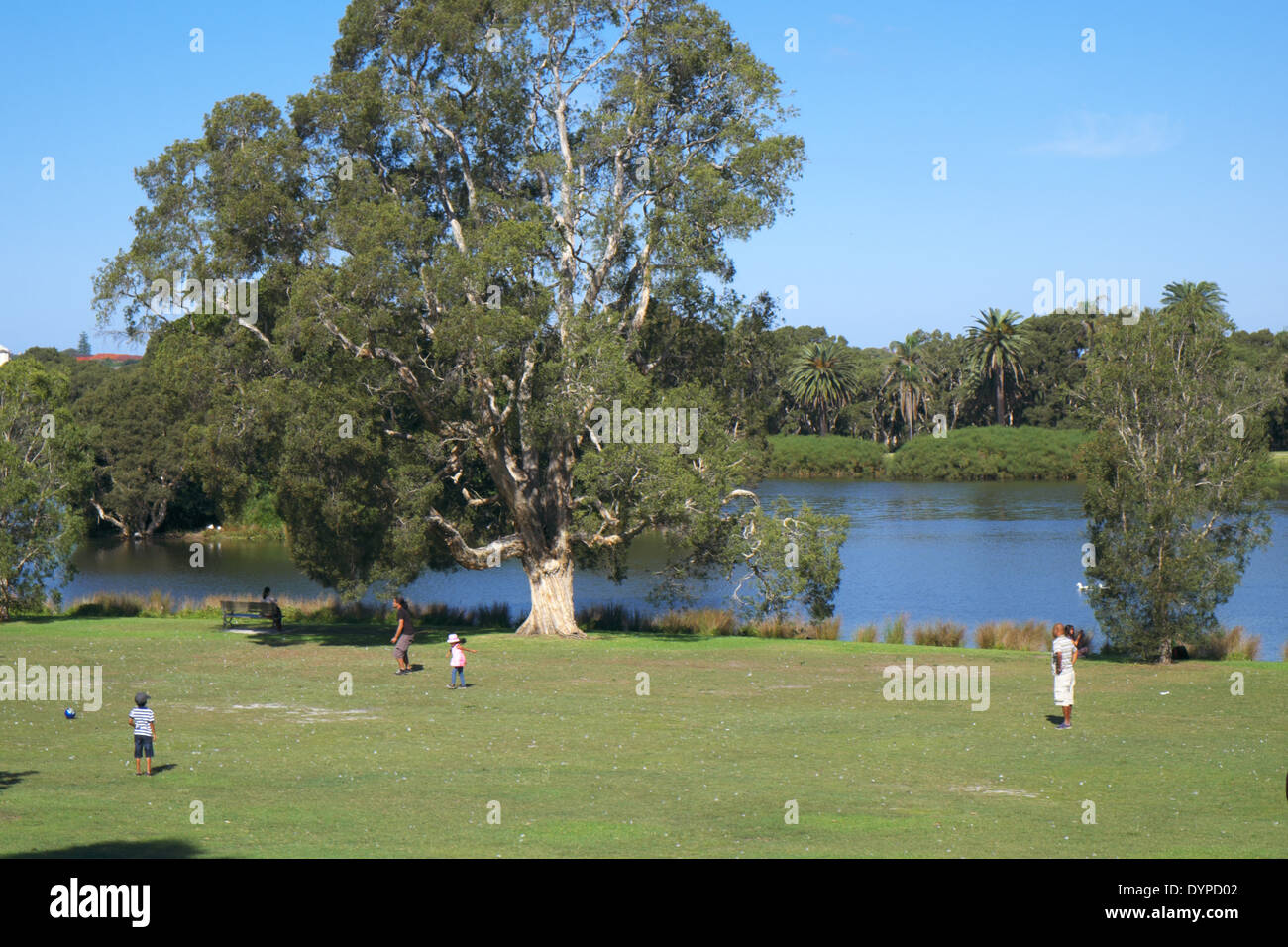 Sydney centennial park hi-res stock photography and images - Alamy