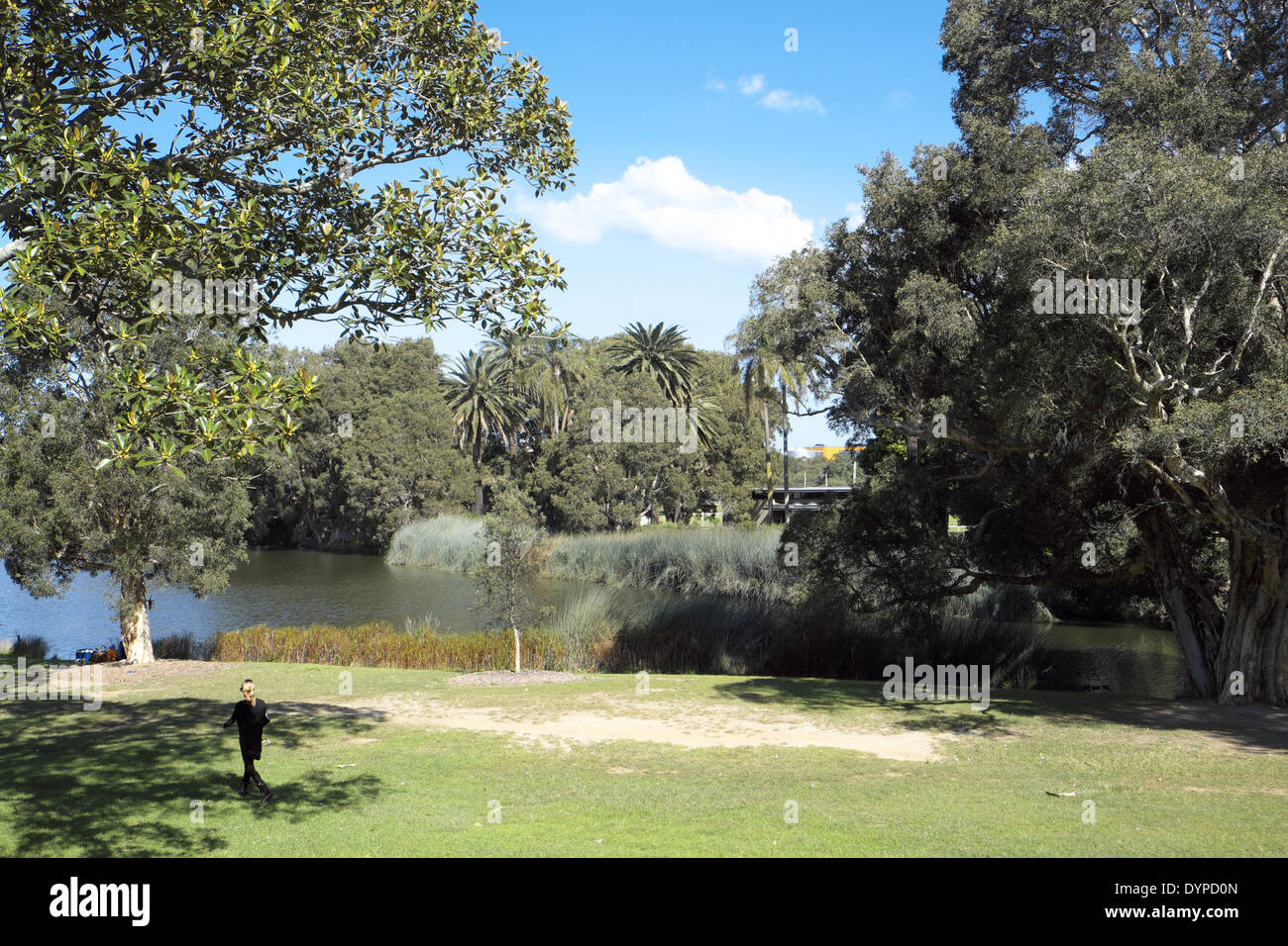 Centennial Parklands park is an urban park occupying 220 hectares in ...