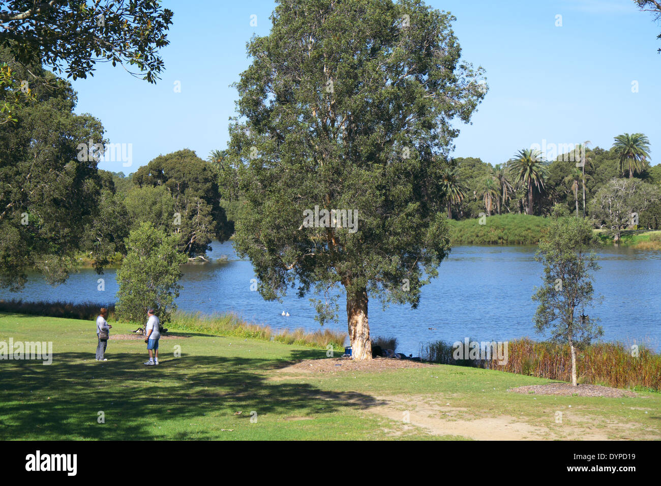Centennial Parklands park is an urban park occupying 220 hectares in ...