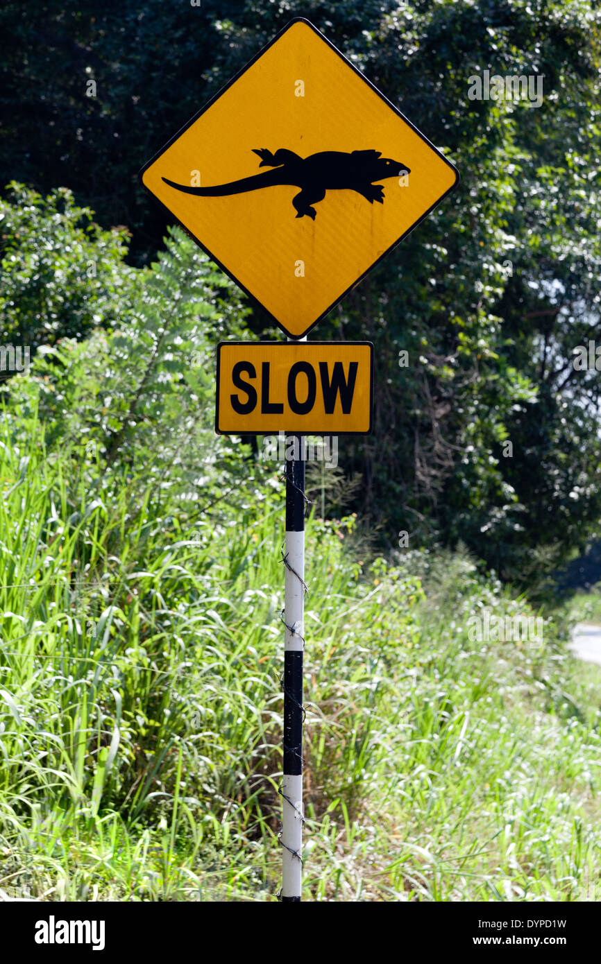 Lizard crossing sign hi-res stock photography and images - Alamy