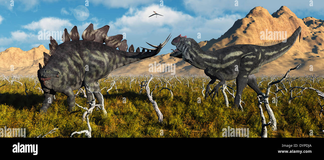 A Stegosaurus Defending Its Self From An Allosaurus Attack Stock Photo ...