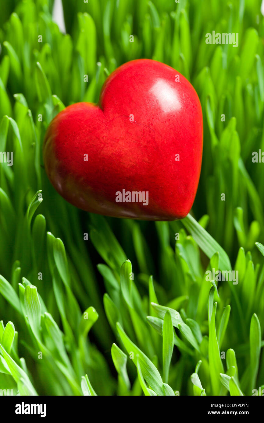 the red heart on green lawn Stock Photo - Alamy