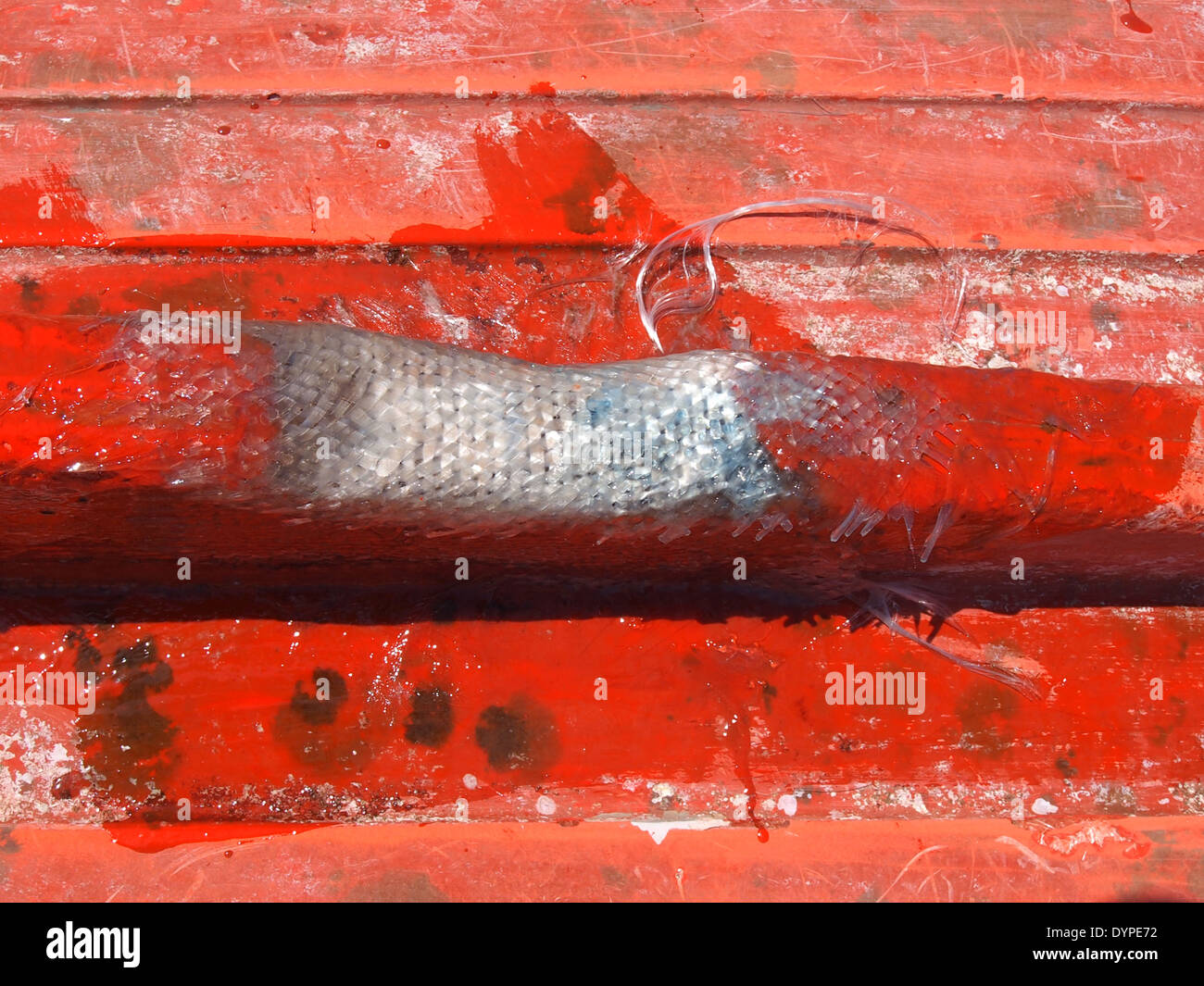 repairing of old red plastic boat Stock Photo - Alamy
