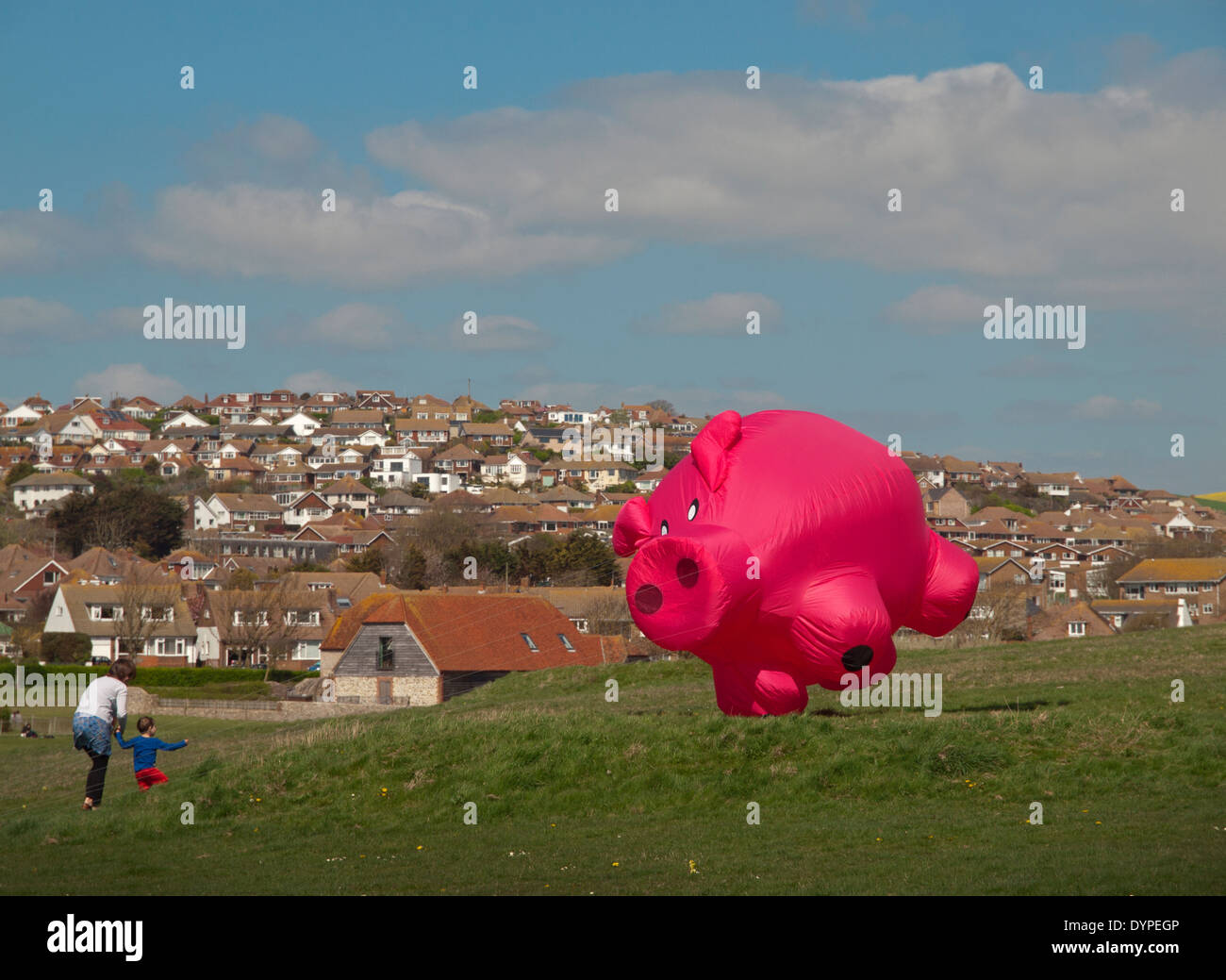 Pig kite hi-res stock photography and images - Alamy