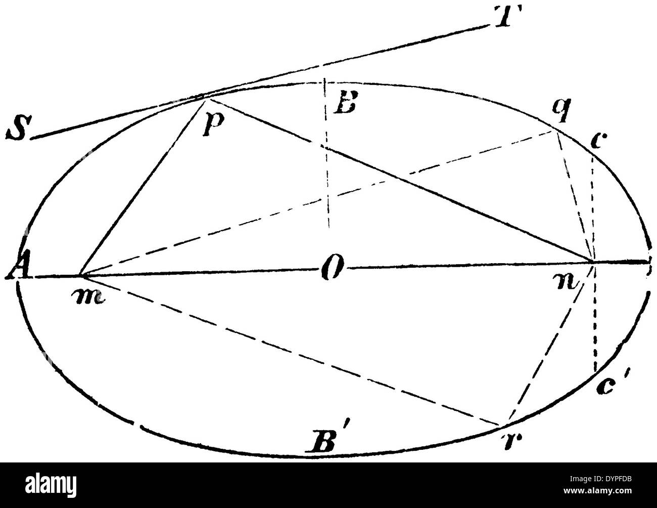 Vintage natural history illustration Black and White Stock Photos ...