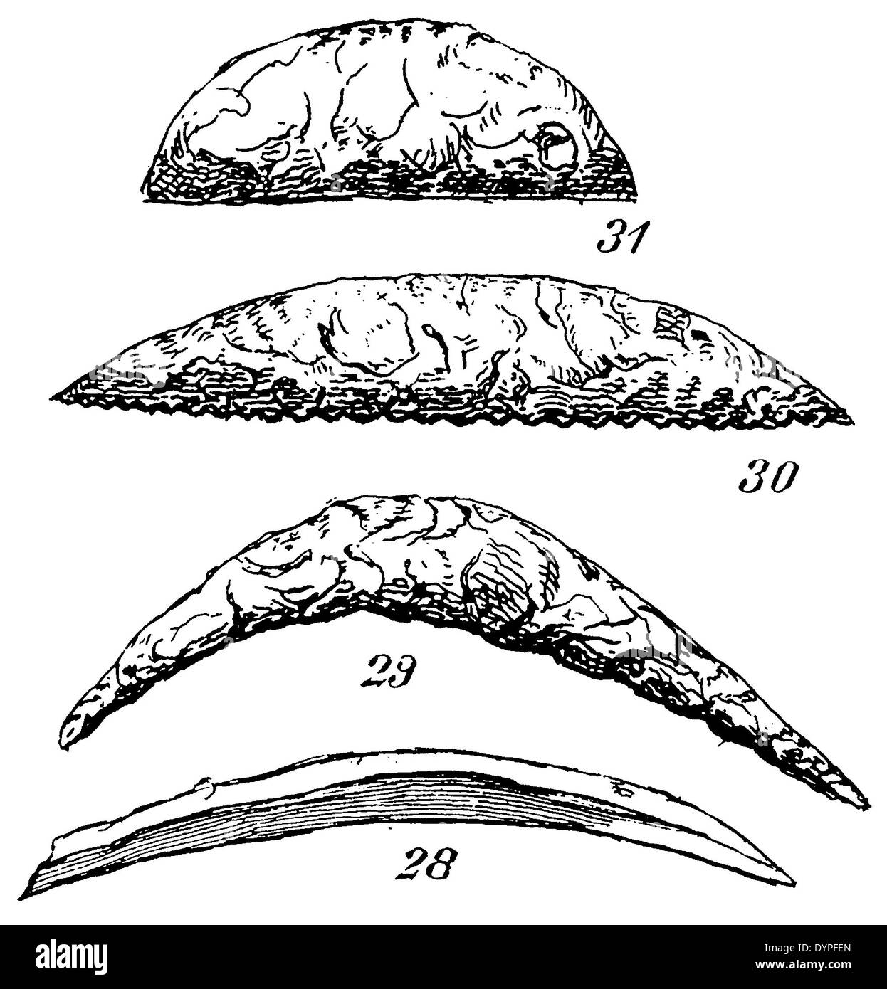 Old stone age tool hi-res stock photography and images - Alamy