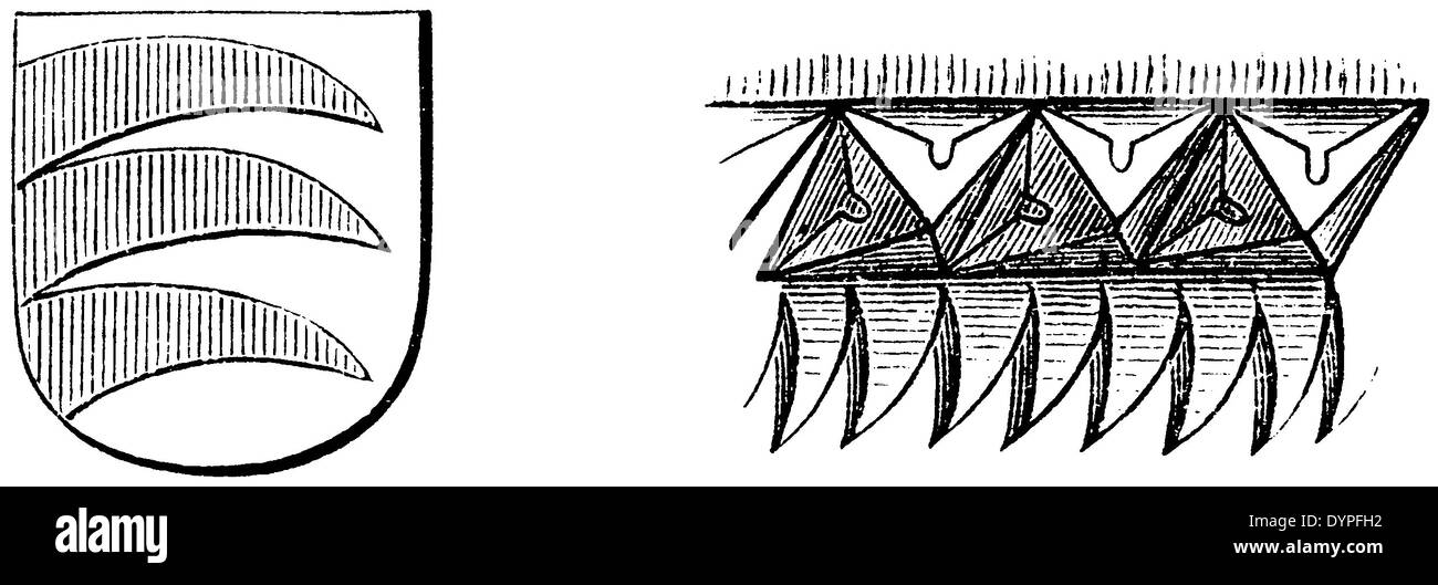 Wolf teeth hi-res stock photography and images - Alamy