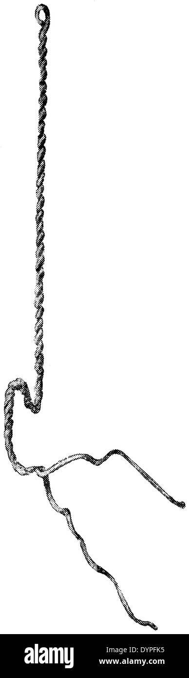 Hyacinth plants Black and White Stock Photos & Images - Alamy