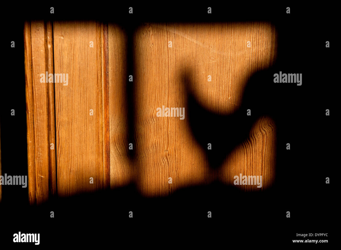 Light and Shade. Shadow of Chicken on Oak Stock Photo - Alamy