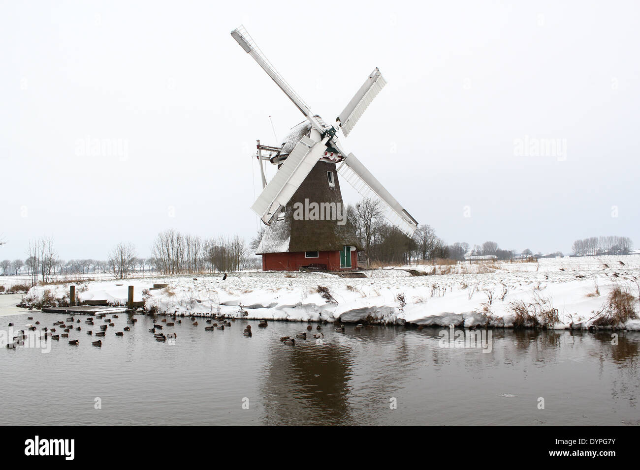 Polder mill Krimstermolen (1904) in Zuidwolde, Groningen, The ...
