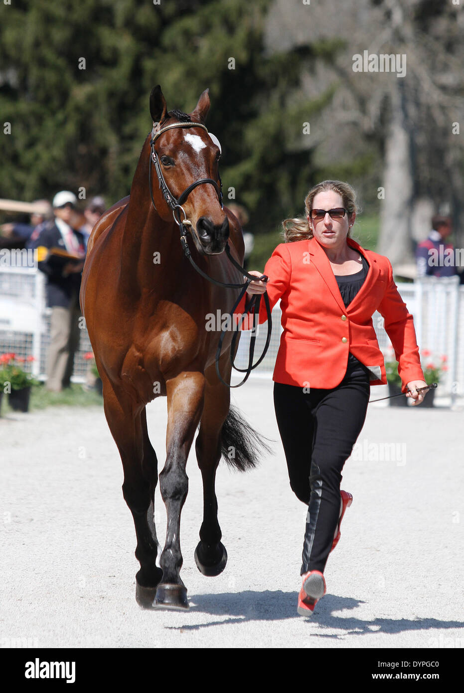 Rafferty's rules hi-res stock photography and images - Alamy