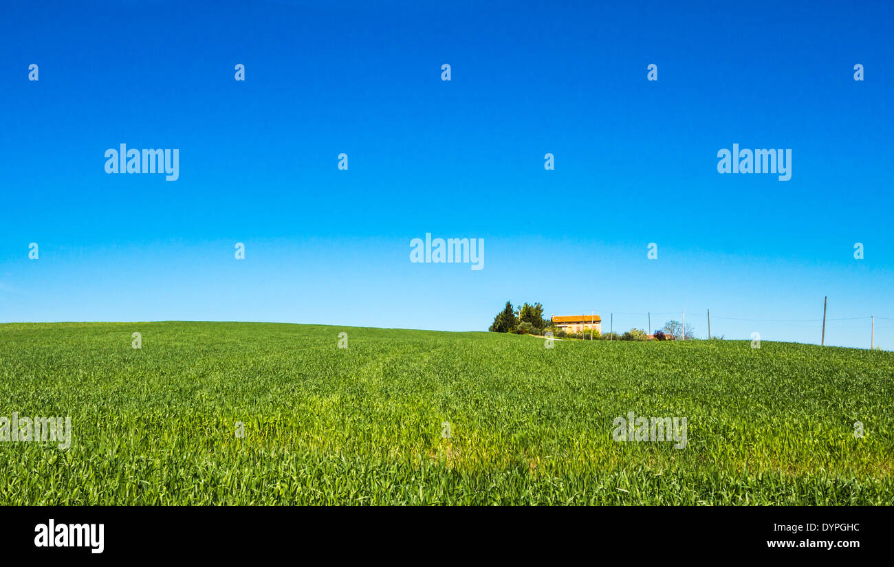 a sunny summer morning in the italian countryside Stock Photo - Alamy