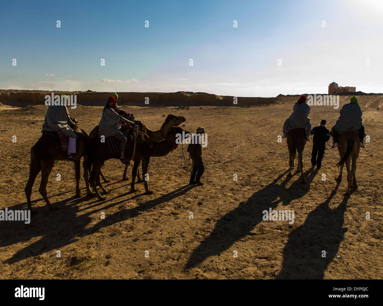 Camel ride in Sahara desert in Tunisia Stock Photo - Alamy