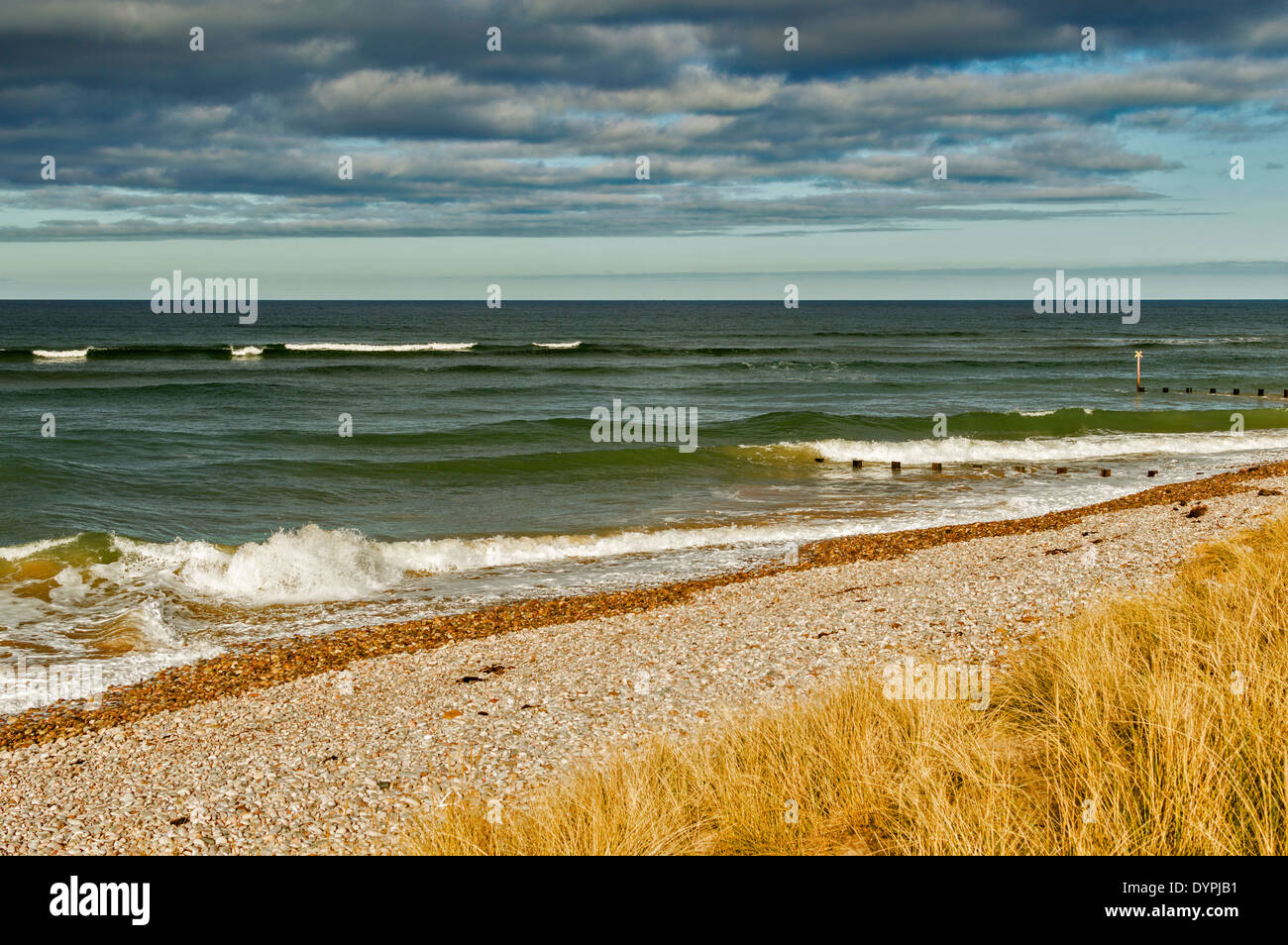 Groynes on shingle beach hi-res stock photography and images - Alamy