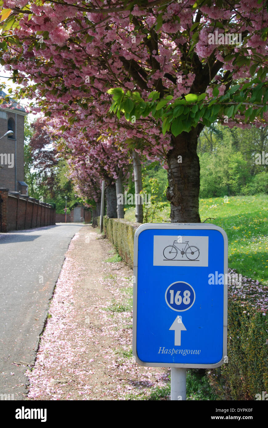 Belgian cycling route network hi-res stock photography and images - Alamy