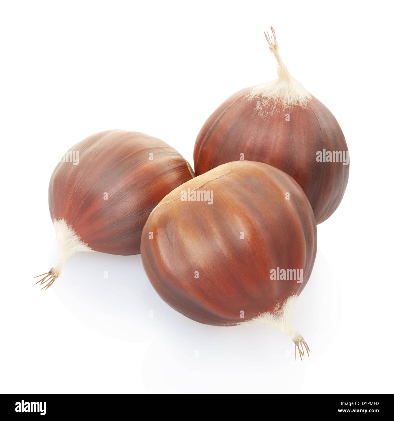 Chestnuts hi-res stock photography and images - Alamy