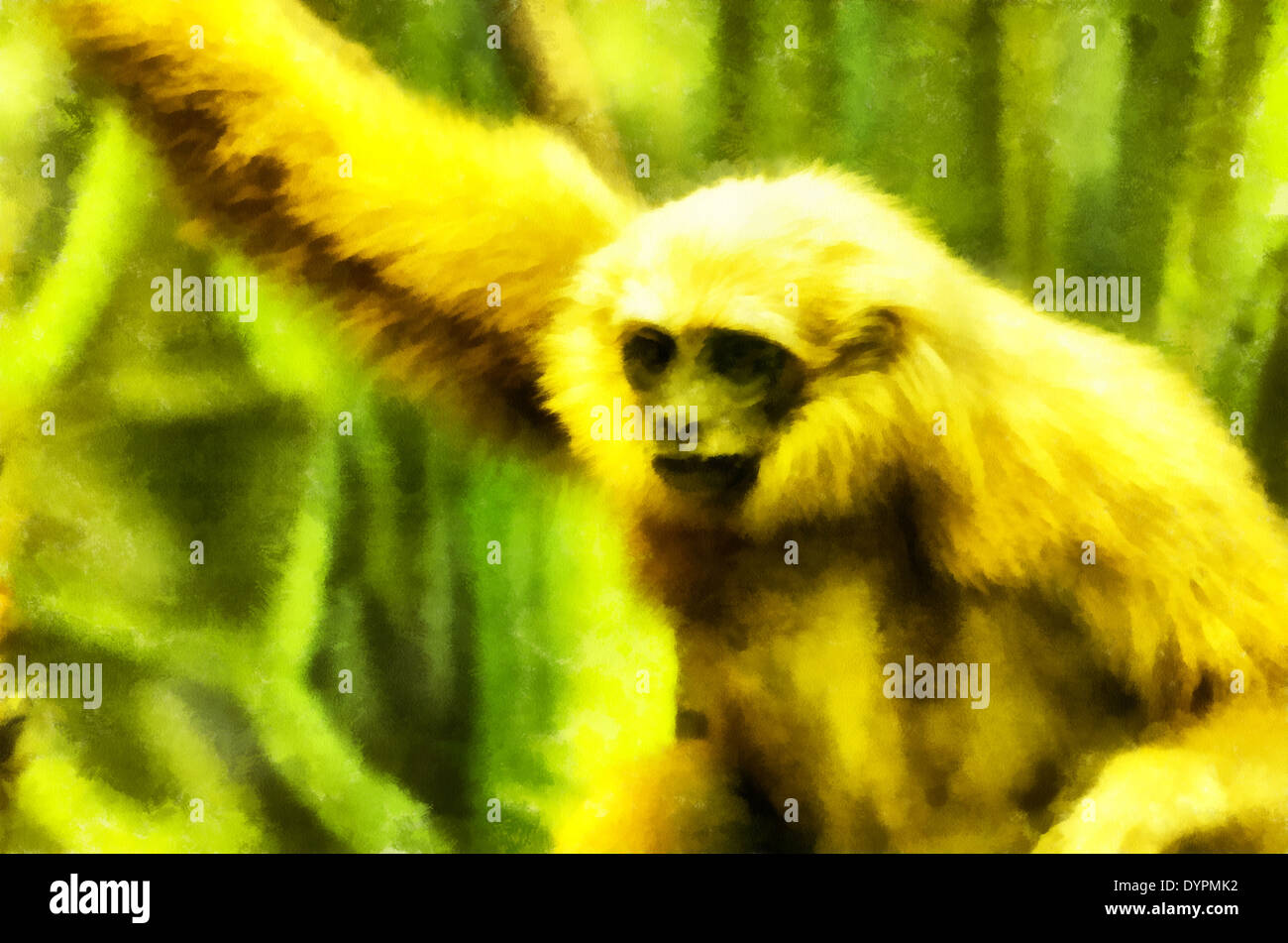 Gibbons illustrations hi-res stock photography and images - Alamy