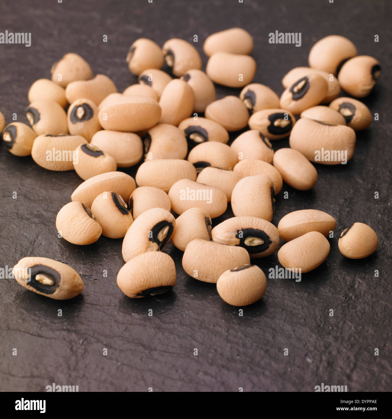 Black Eyed Beans on a slate background, Studio Shot Stock Photo - Alamy