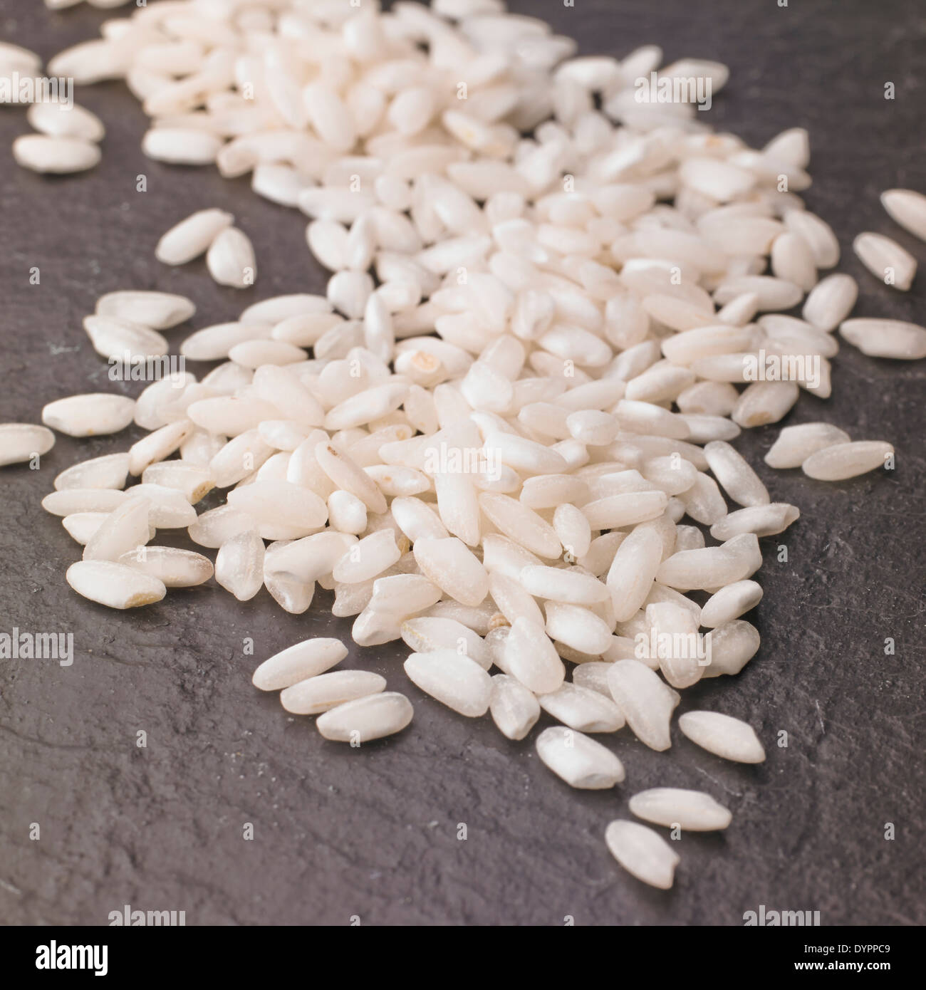 Carnaroli Risotto Rice on a slate background, Studio Shot Stock Photo ...