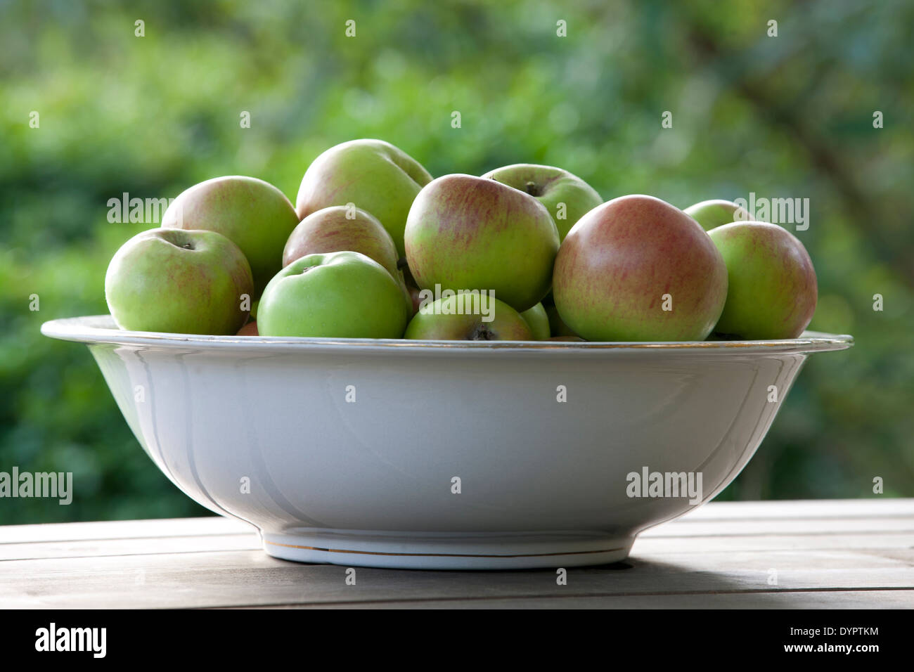 Still life of apples in a bowl hi-res stock photography and images - Alamy
