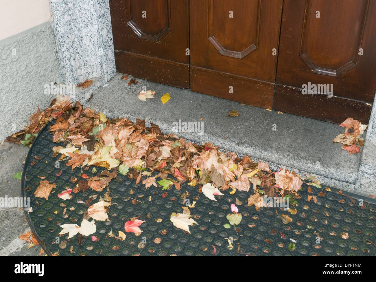 autumn leaves on doorstep Stock Photo - Alamy