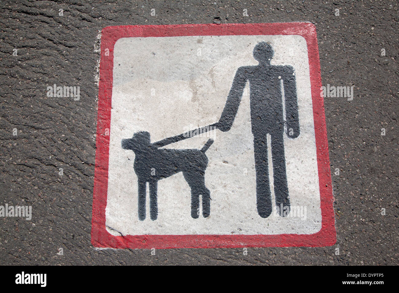 Dog Walking Sign painted on Pavement Stock Photo - Alamy