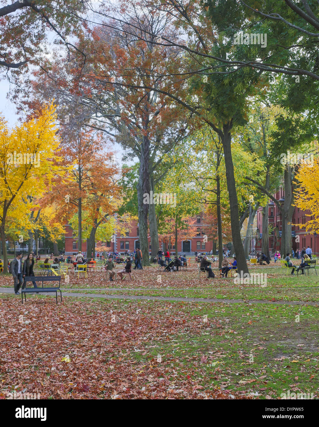Quad harvard university cambridge massachusetts hi-res stock ...
