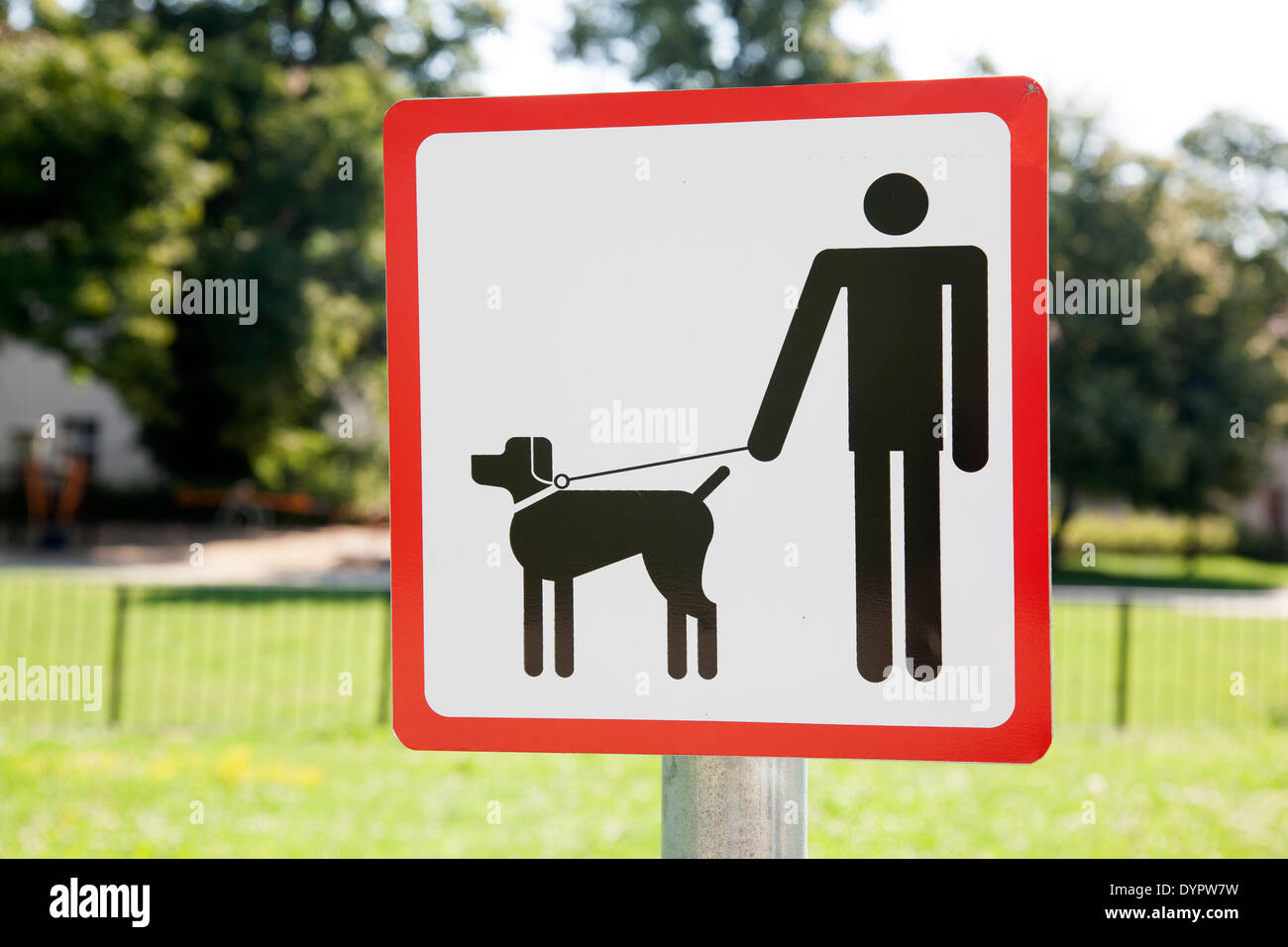Dog Walking Sign in Park Setting Stock Photo - Alamy