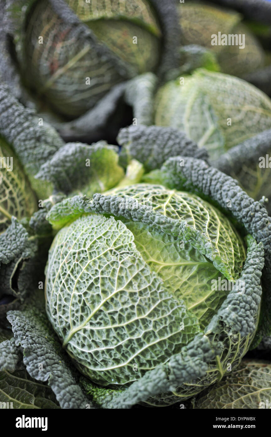 Green leaves of a fresh raw savoy cabbage close up Stock Photo - Alamy
