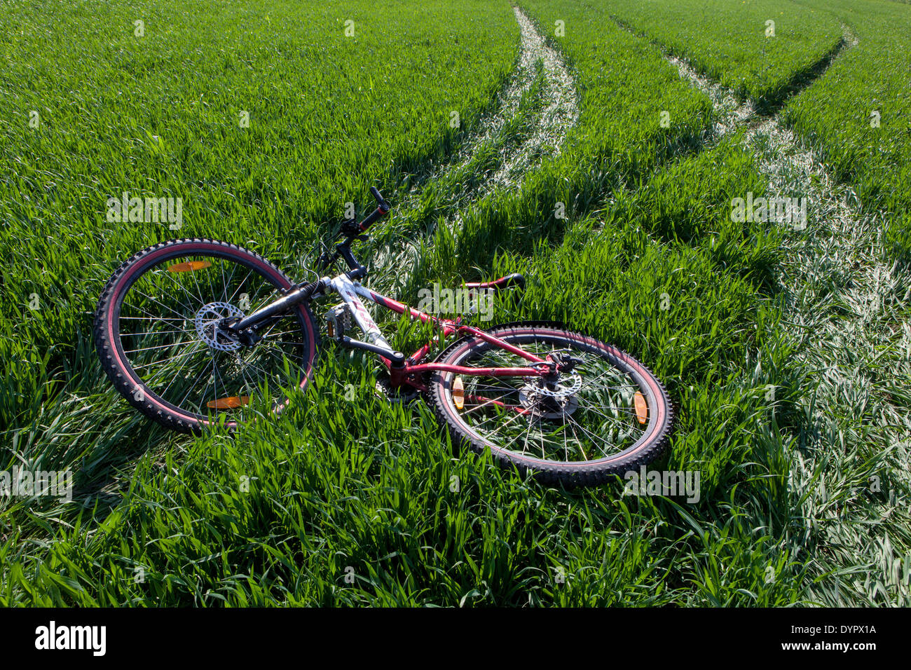 Bike scenery hi-res stock photography and images - Alamy