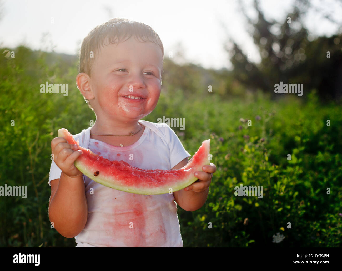 Baby watermelon garden hi-res stock photography and images - Alamy