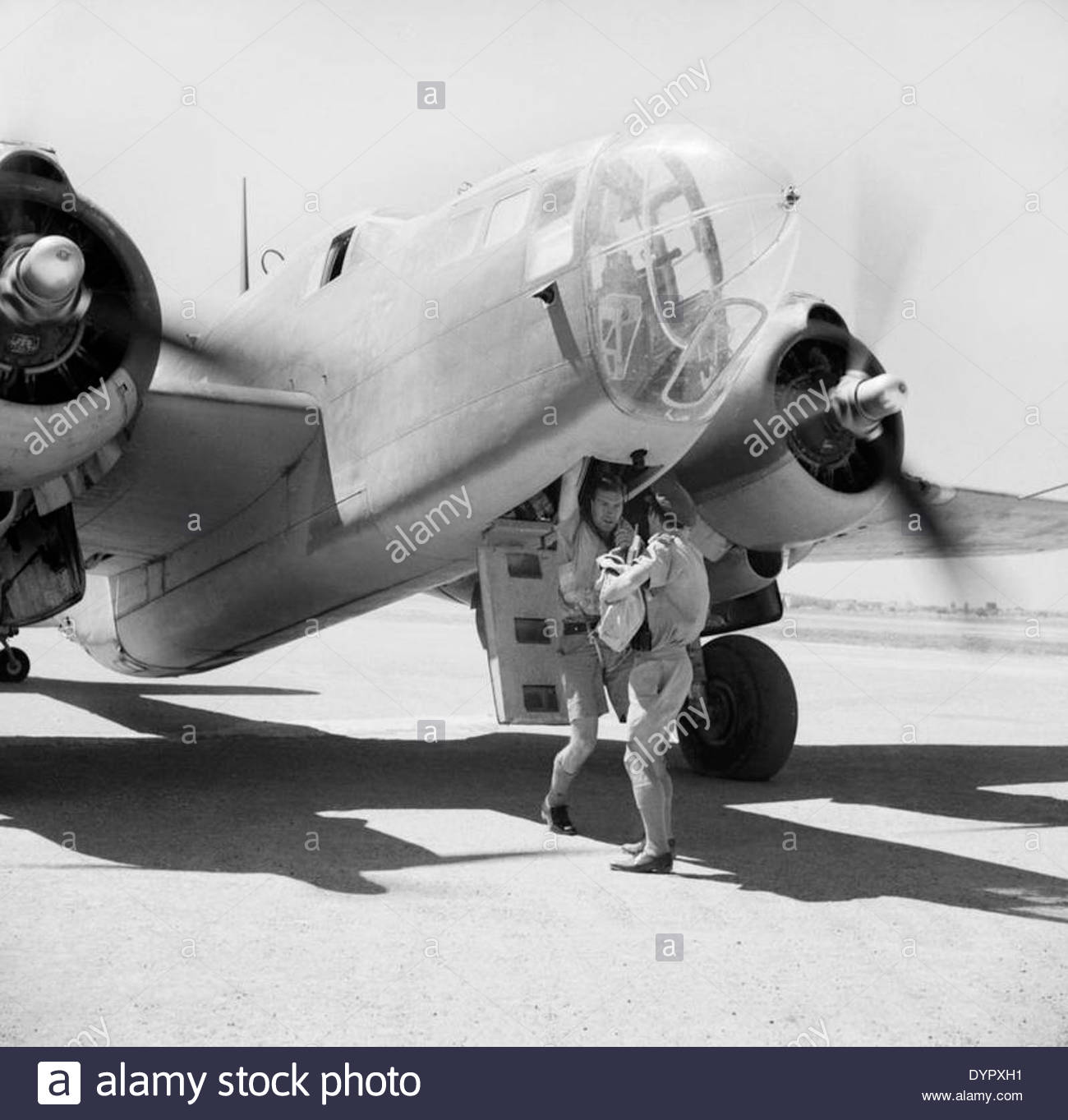 Martin Baltimore Stock Photos & Martin Baltimore Stock Images - Alamy