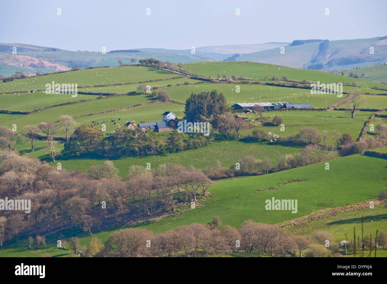 Remote farms wales hi-res stock photography and images - Alamy