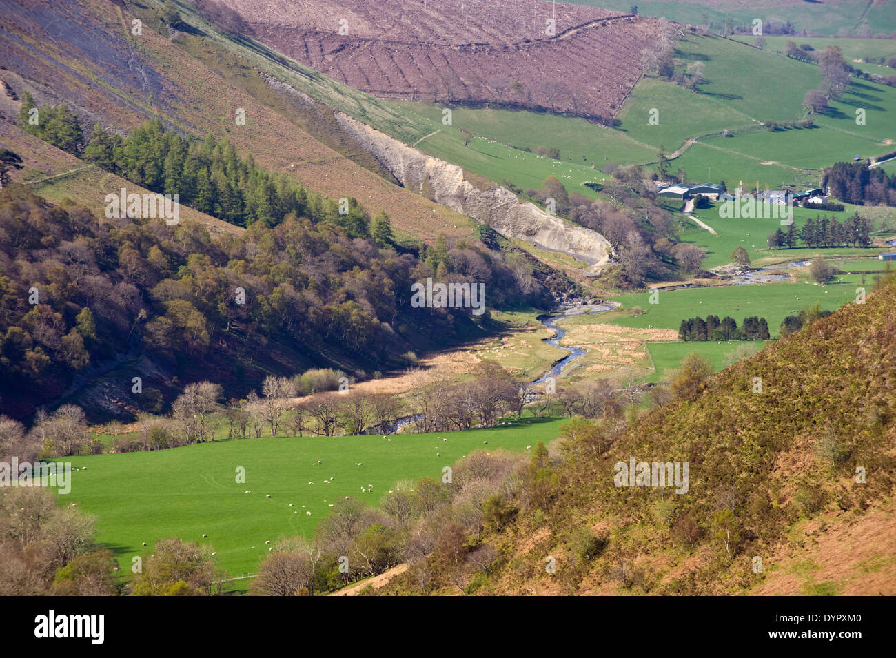 Remote hill farm below Dylife Gorge Powys Mid Wales UK Stock Photo - Alamy