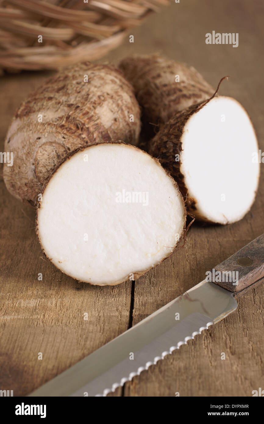 Eddoe or Eddo a tropical root vegetable latin name Colocasia antiquorum ...