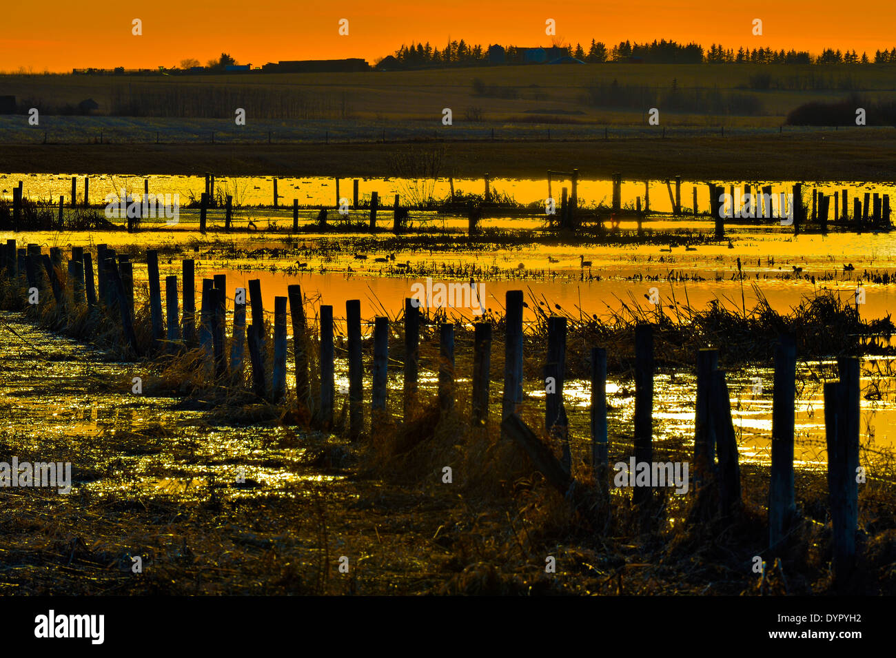 Slew Stock Photos & Slew Stock Images - Alamy